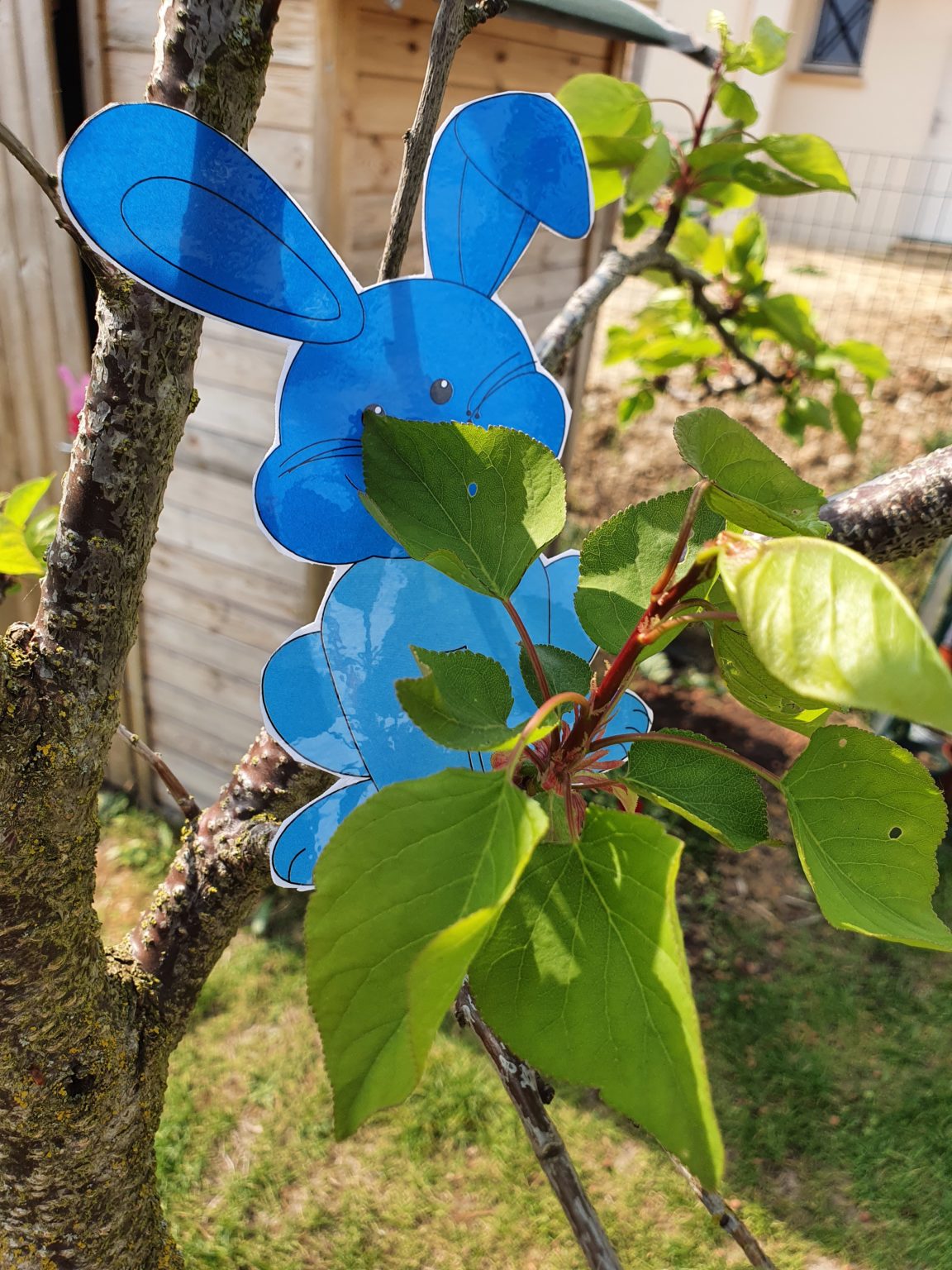 La folle course aux lapins de Pâques – La caverne d'Anaïs