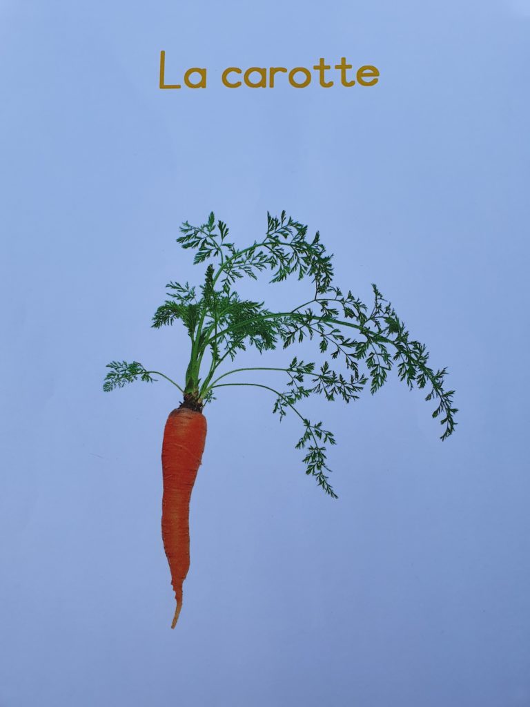 A la découverte de la carotte – La caverne d'Anaïs