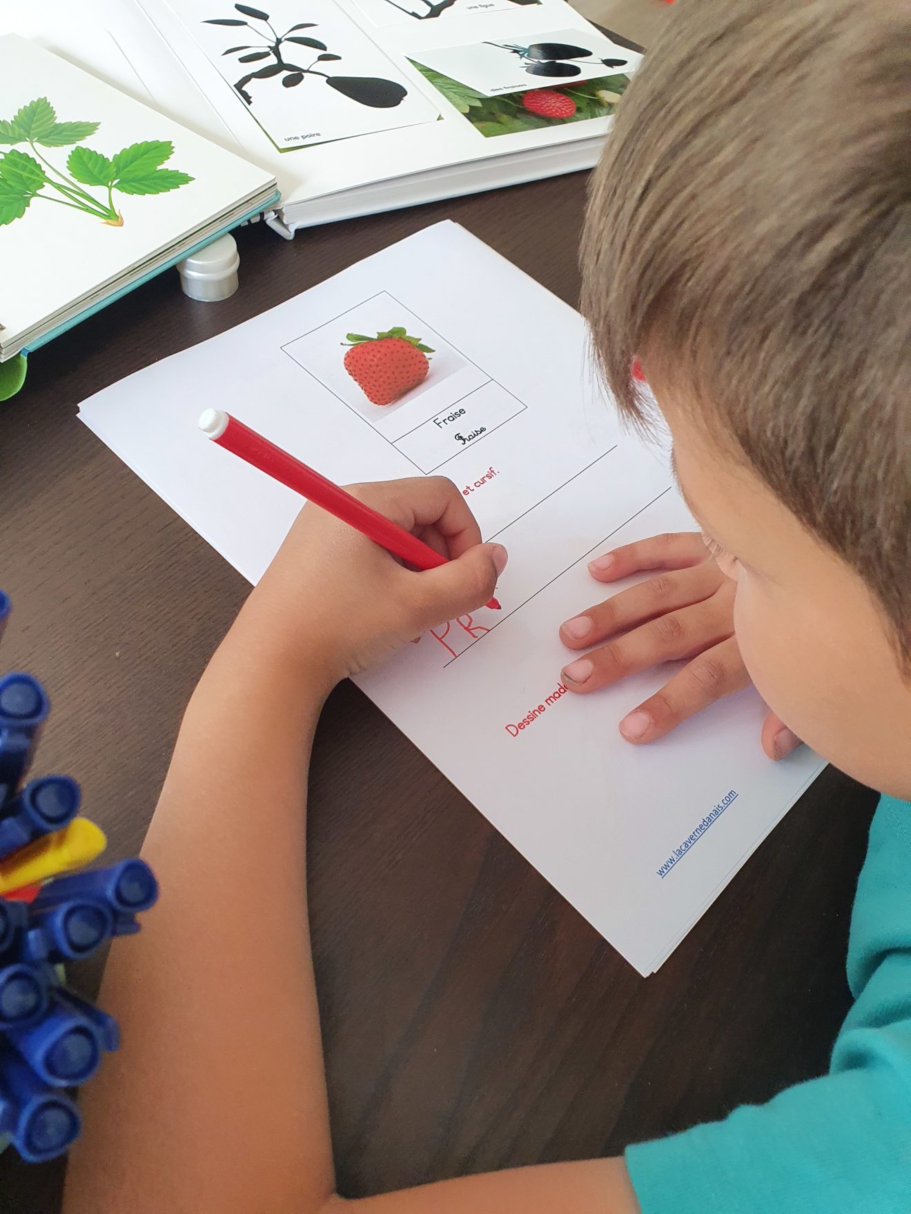 A la découverte de la fraise – La caverne d'Anaïs