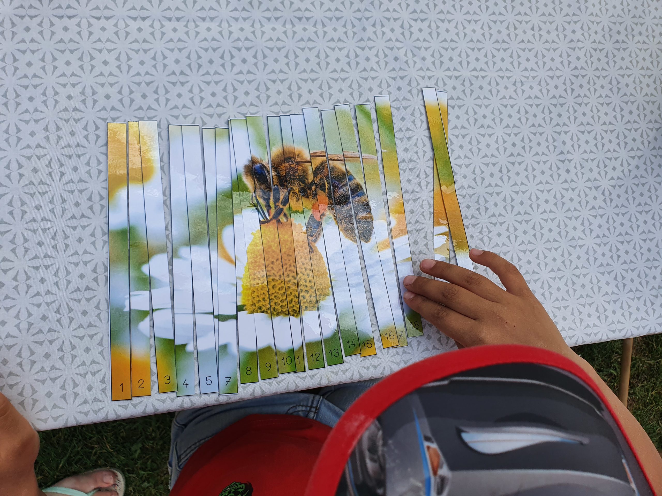 Activités sur les abeilles – La caverne d'Anaïs