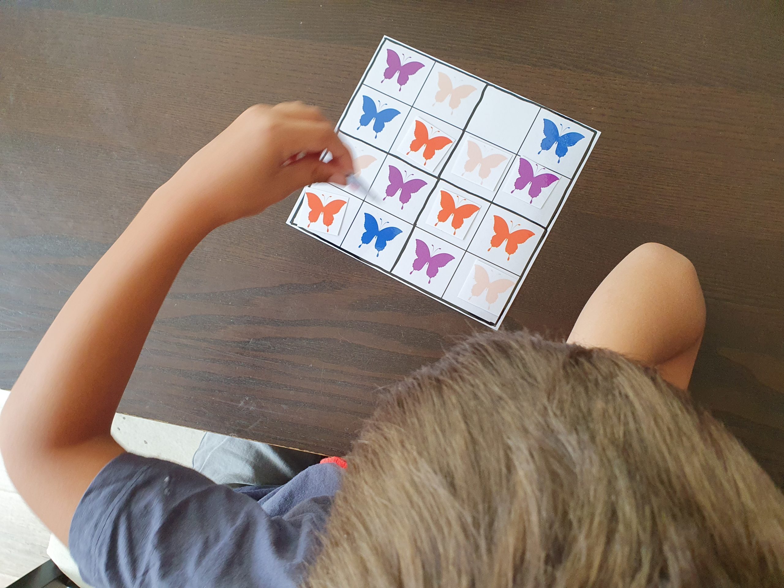 Activités sur les papillons – La caverne d'Anaïs
