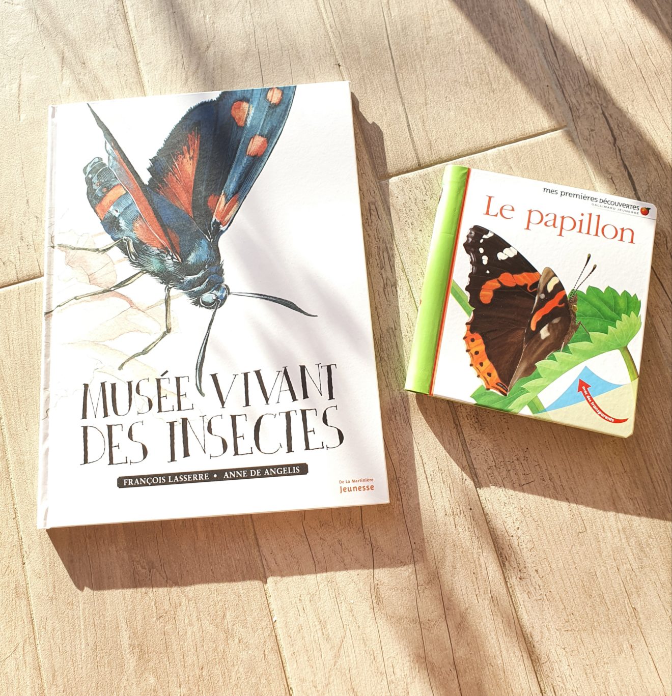 Activités sur les papillons – La caverne d'Anaïs