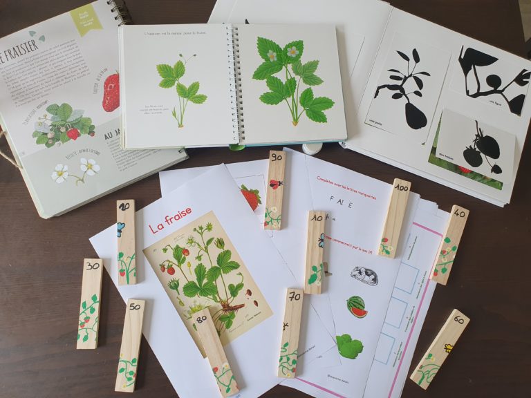 A la découverte de la fraise – La caverne d'Anaïs
