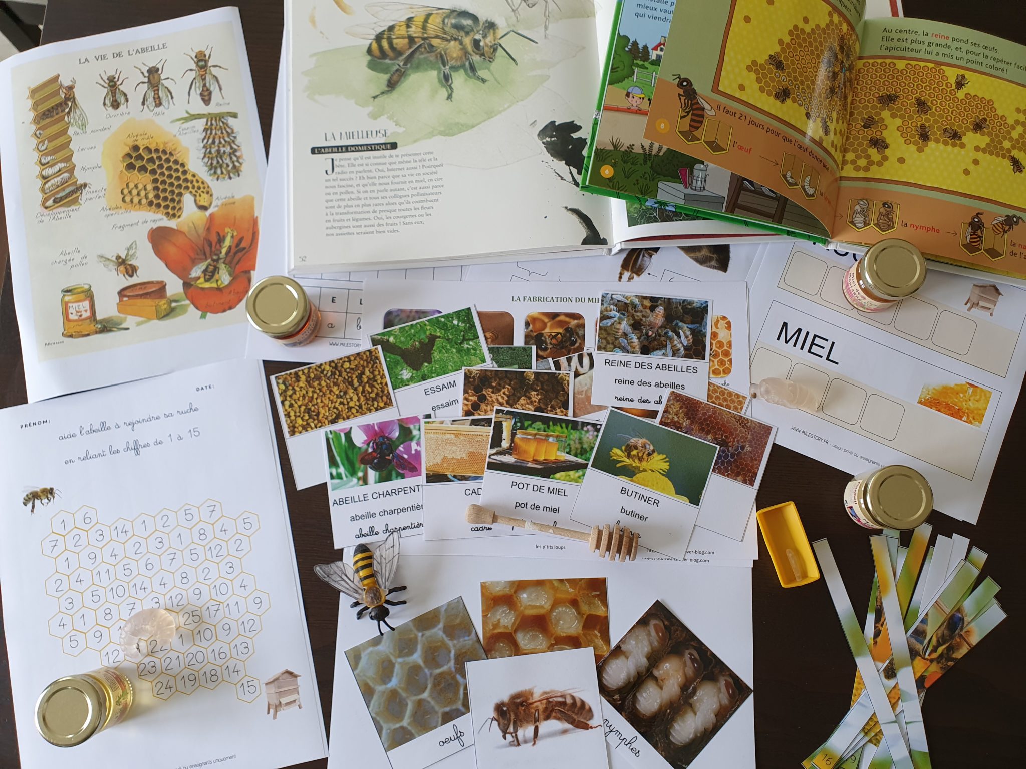 Activités sur les abeilles – La caverne d'Anaïs